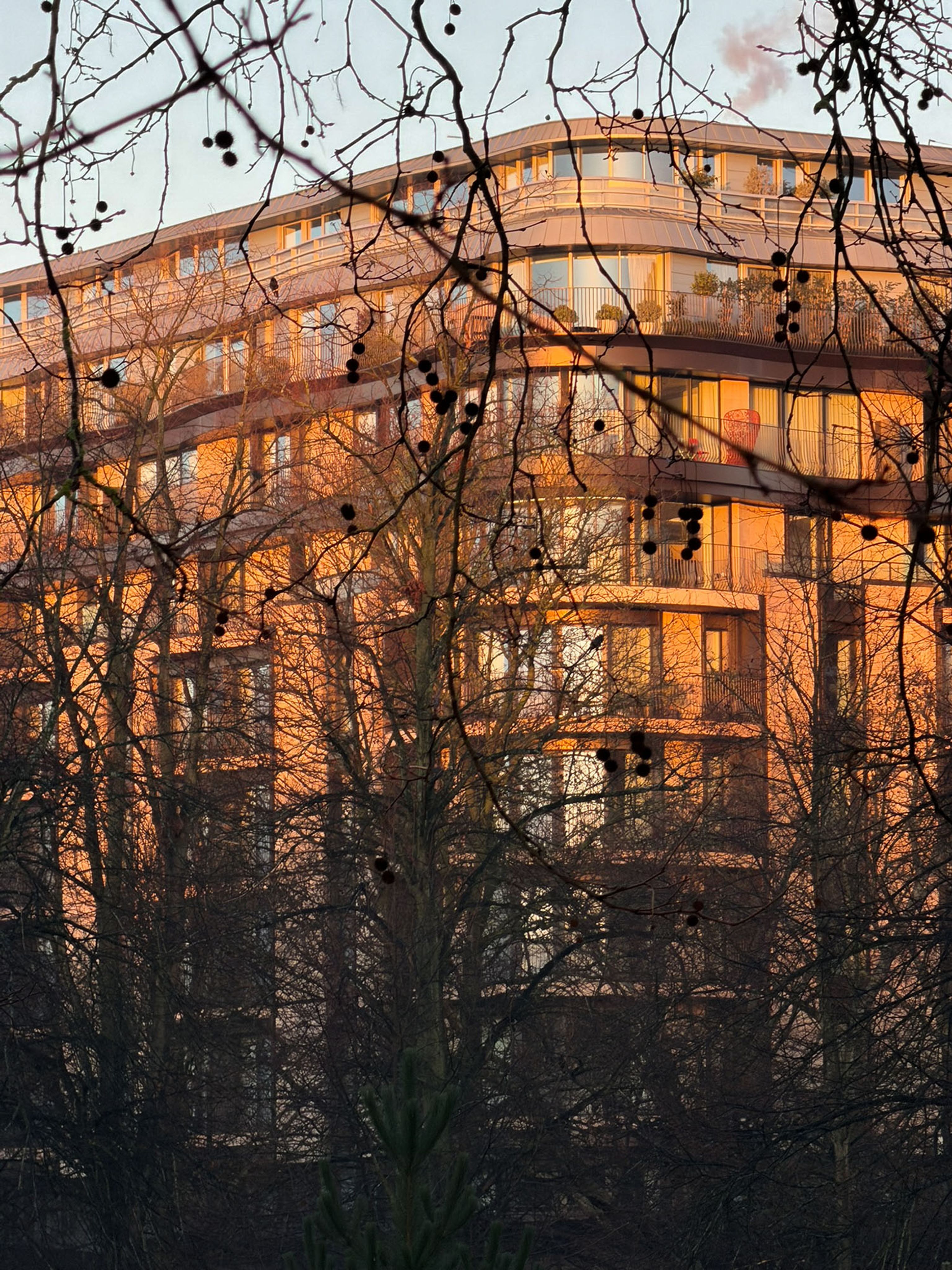 Park Modern Hyde Park | PLP Architecture | Projects | PLP Architecture ...